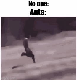 temple run 2 - Imgflip