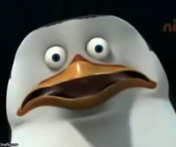 Best Caption wins Ep 5 S10 - Imgflip