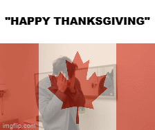 Animated GIF - Imgflip