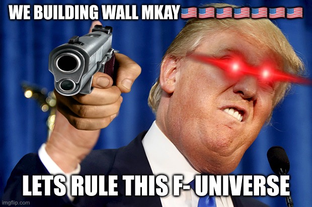 BUILD WALL DONALD TRUMP - Imgflip