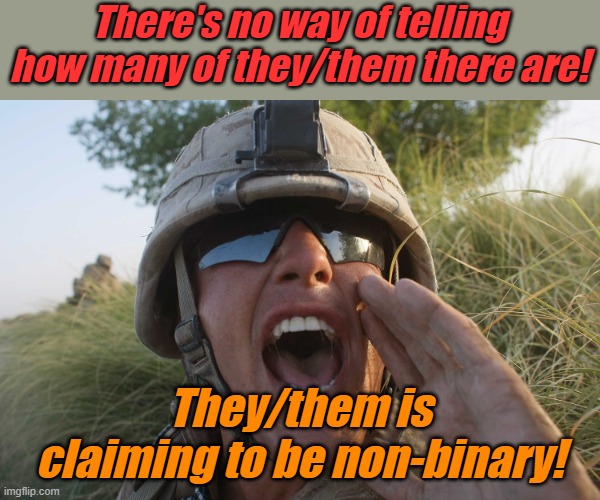 Support CPM- Correct Pronouns Matter. Because accuracy makes a big difference - Imgflip