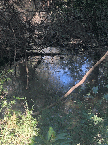 Animated GIF - Imgflip