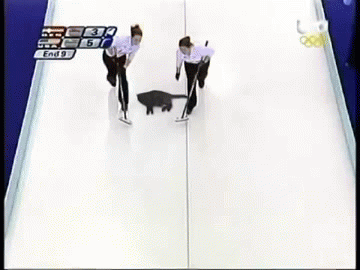 Cat Curling? Purrling? - Imgflip