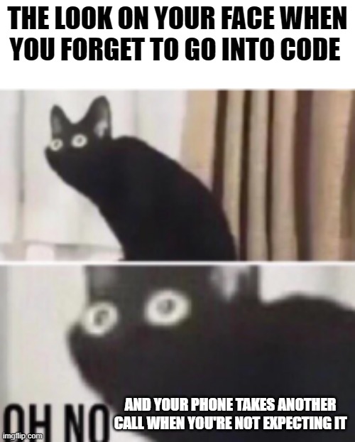 Oh no cat - Imgflip