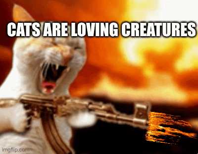 Cat with AK47 - Imgflip