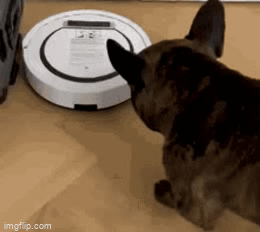 Dog and robot vacuum - Imgflip
