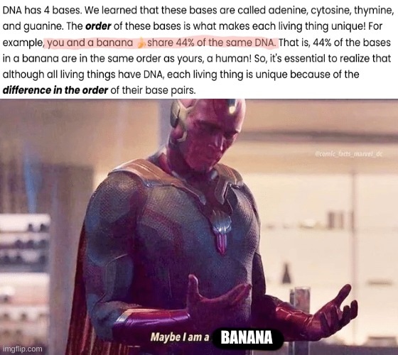 Maybe I Am A Monster Blank Imgflip