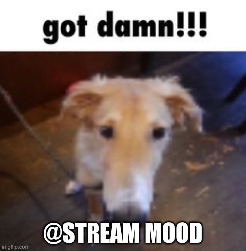 Image tagged in got damn - Imgflip