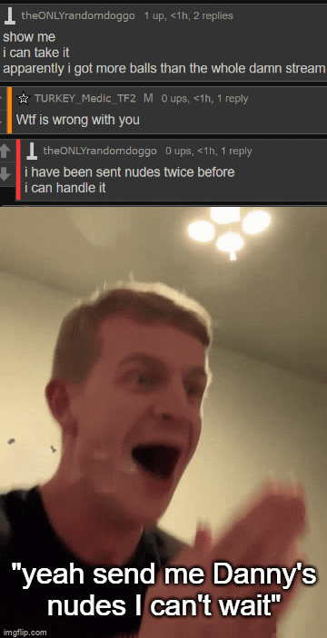 what the heck random doggo - Imgflip