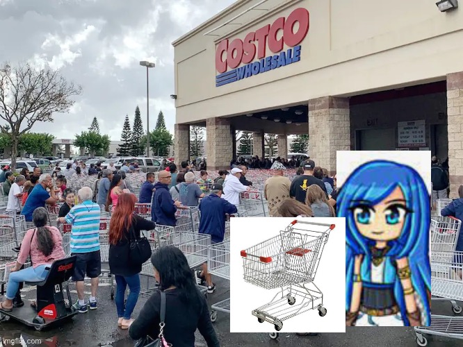 funneh in costco - Imgflip