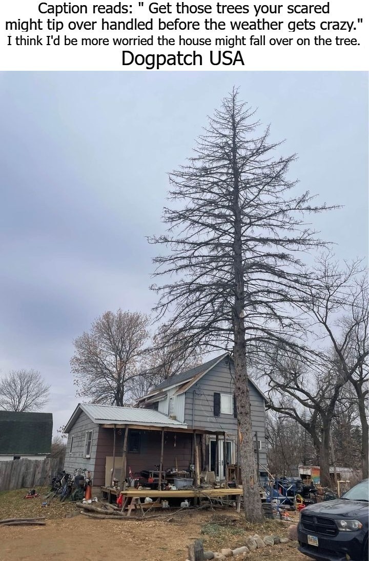 Dogpatch USA - Imgflip