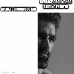 Average Fan vs Average Enjoyer - Imgflip