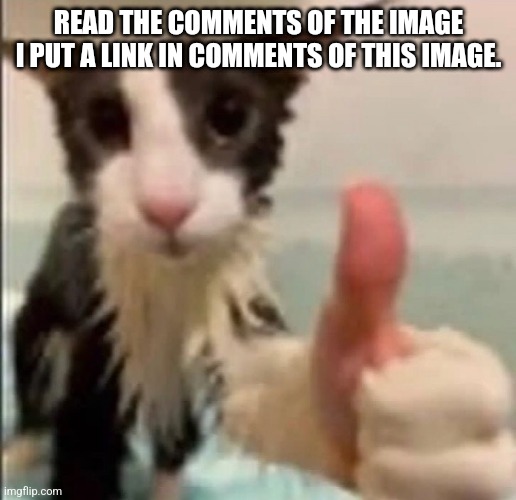 Cat thumbs up - Imgflip