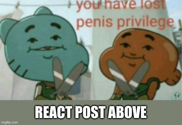 You have lost pp privilege - Imgflip