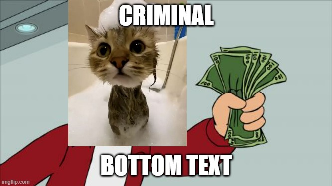 Shut Up And Take My Money Fry Meme - Imgflip