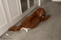 Mischief Maker - Imgflip