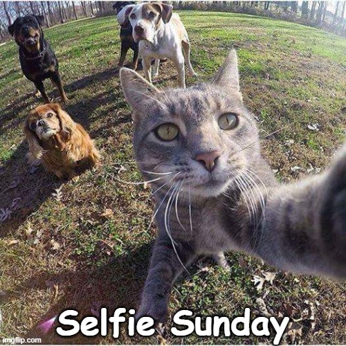 Taking selfies with the squad - Imgflip