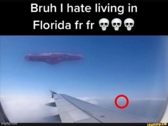 Bruh I hate living in Florida fr fr - Imgflip