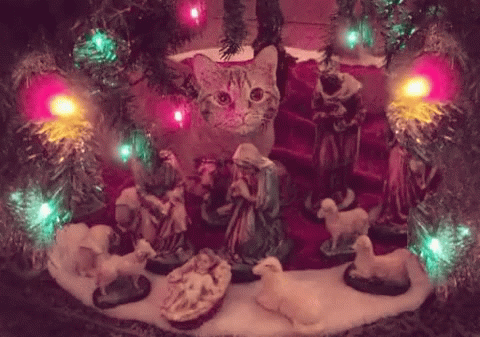 And suddenly there was with the angel a multitude of cat - Imgflip