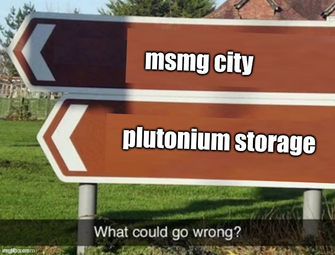 What could go wrong - Imgflip