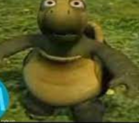 t u r t l e - Imgflip