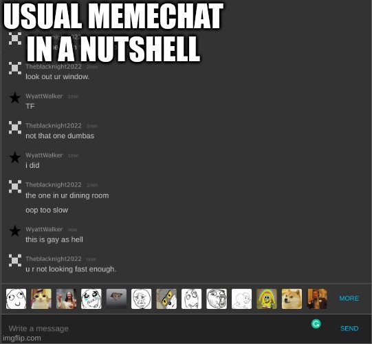 memechats in a nutshell - Imgflip