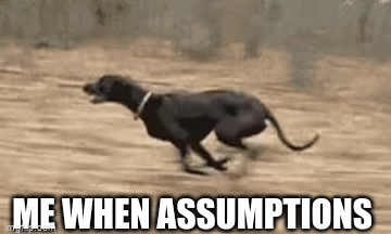 Funny Running Dog Gif