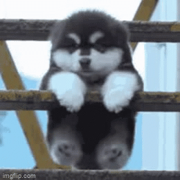 this is so cute upvote if you think the same - Imgflip