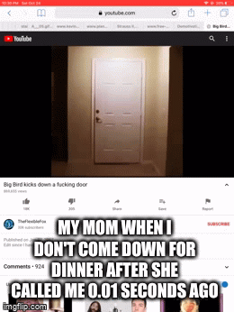 Big bird and mom - Imgflip