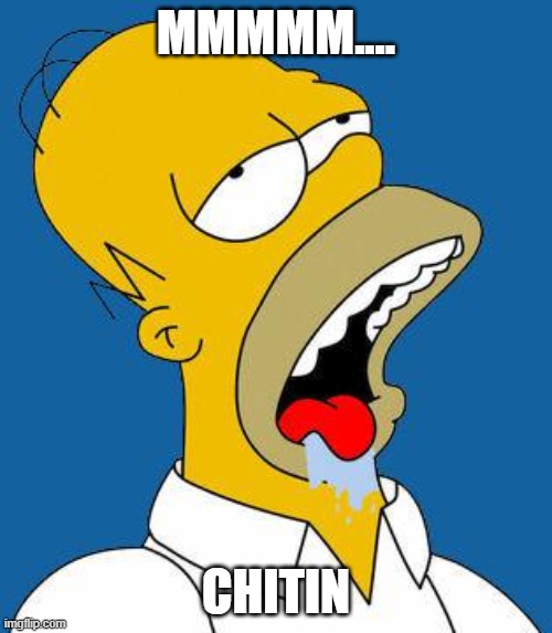 Homer Drooling - Imgflip