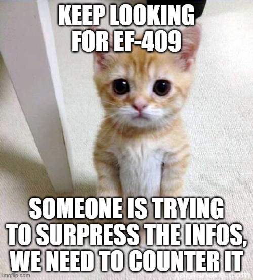 Cute Cat Meme - Imgflip