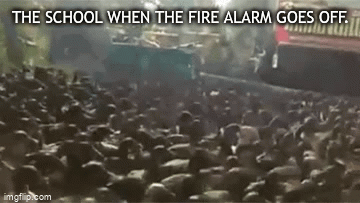 Duck Stampede - Imgflip