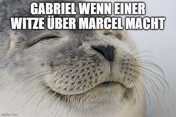 Satisfied Seal Meme - Imgflip