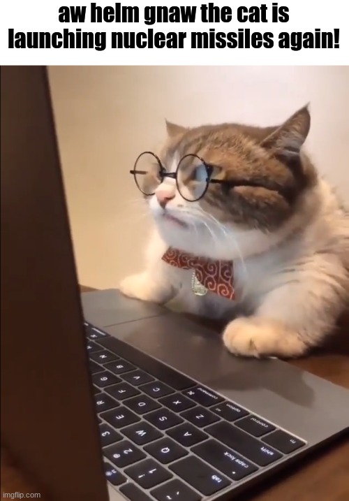 aw helm gnaw - Imgflip