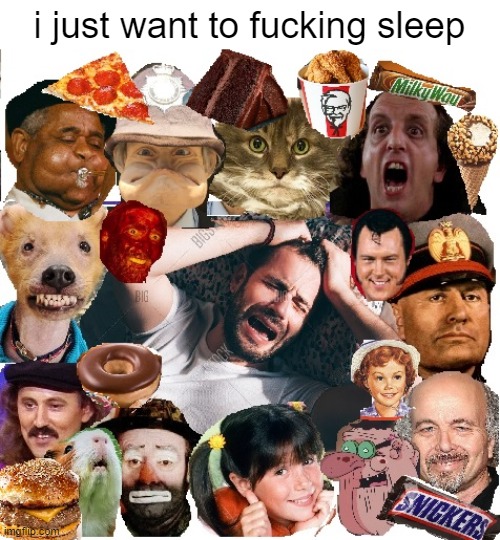 Image tagged in memes,movies,pets,insomnia,comedy,fast food - Imgflip