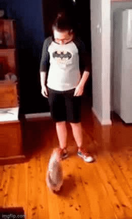 Fast cat catch - Imgflip