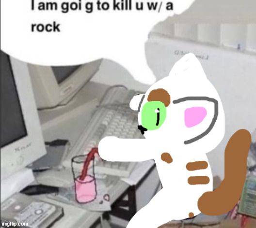 spleens the cat at puter - Imgflip