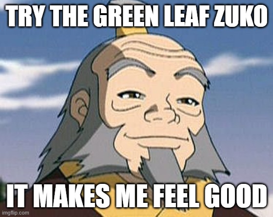 Iroh tried Zuko's new "herb" - Imgflip