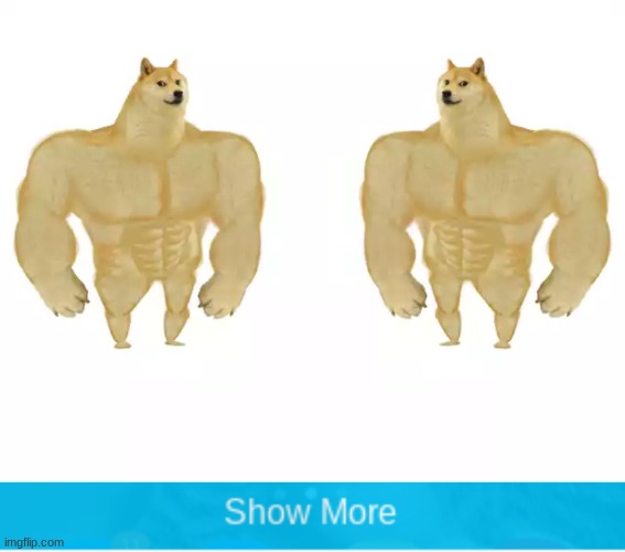 Image tagged in buff doge vs buff doge - Imgflip