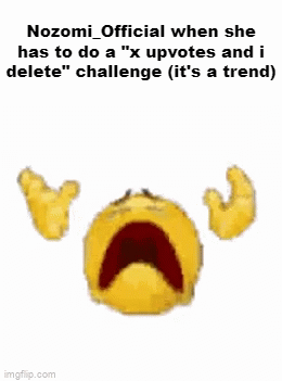 NOOOOO - Imgflip