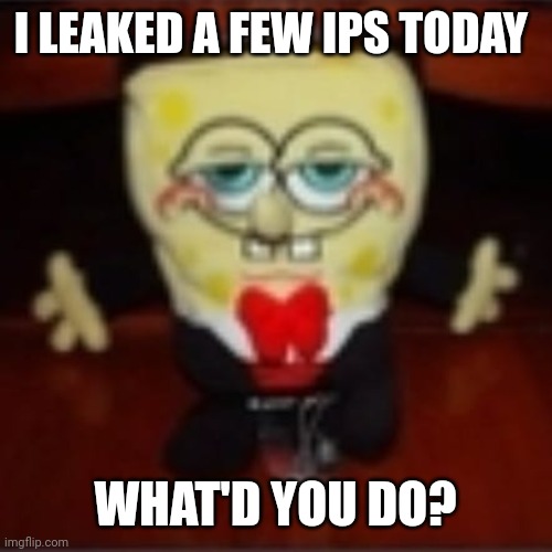 No. Literally, I actually told some people their IP addresses. - Imgflip