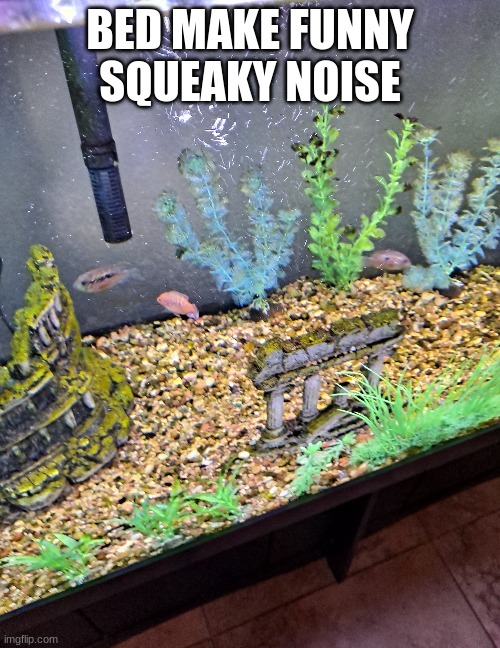 Milkshake, Syrup and Blueberry - Imgflip