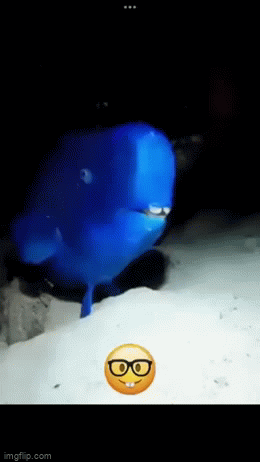 Animated GIF - Imgflip