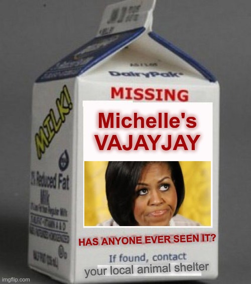 Even seen a photo of "Michelle" pregnant? Neither has anyone else ...