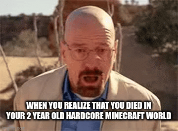 when you spend 2 years in a minecraft hardcore world and you realized ...