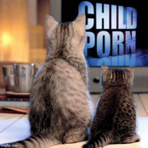 I wonder what they're watching? - Imgflip