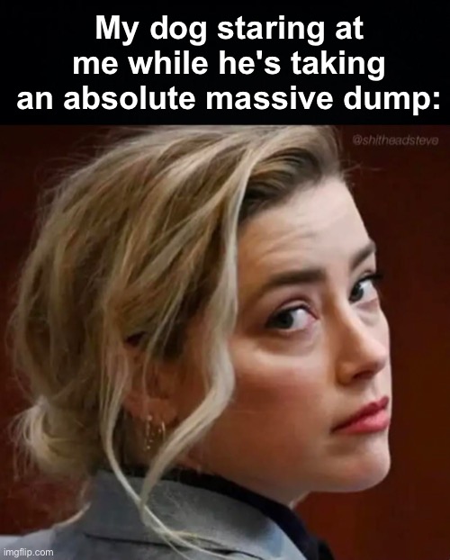 Memes Imgflip Memes Imgflip