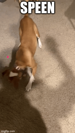 Speen - Imgflip