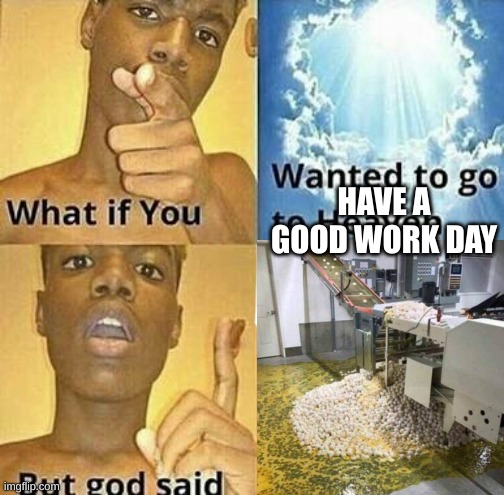 What Is This Job Anyway Egg Conveyer Imgflip