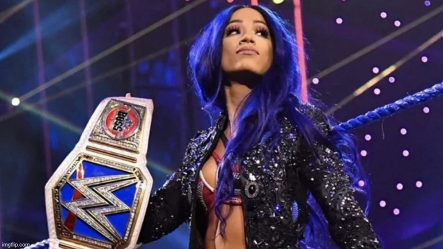 Our next WWE Smackdown Women's Champion - Imgflip